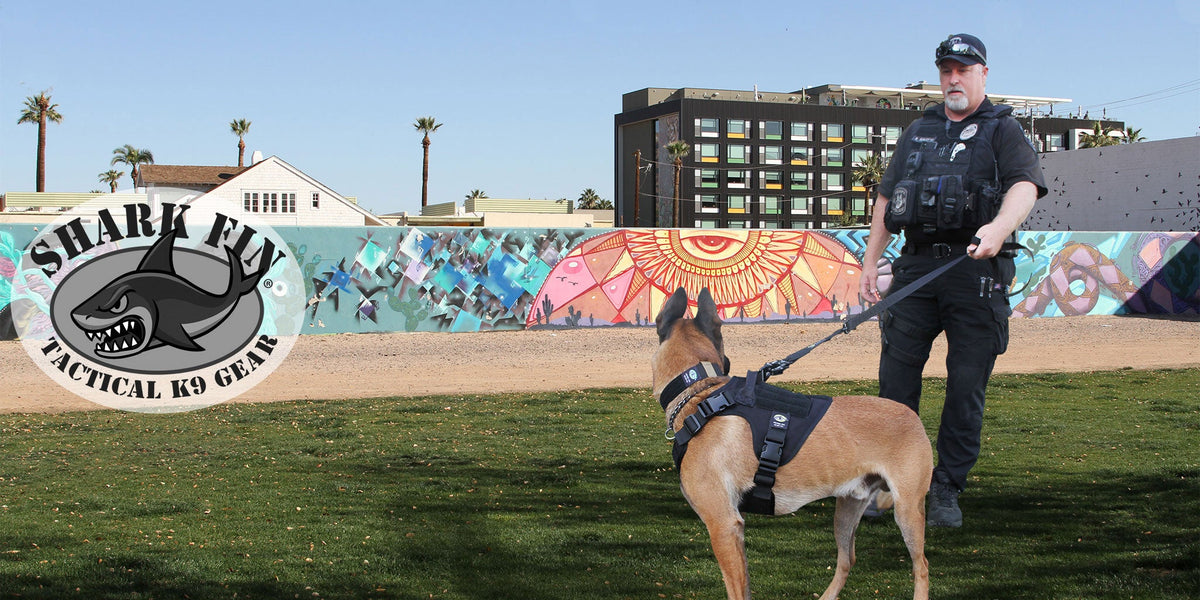 TACTICAL K9 GEAR – Shark Fin Gear Company