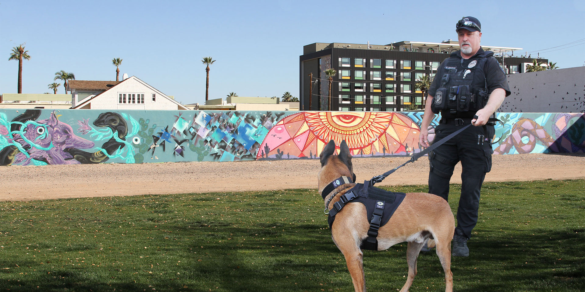 Tactical Dog Harnesses, Leashes, and Collars Made in the USA. – Shark ...