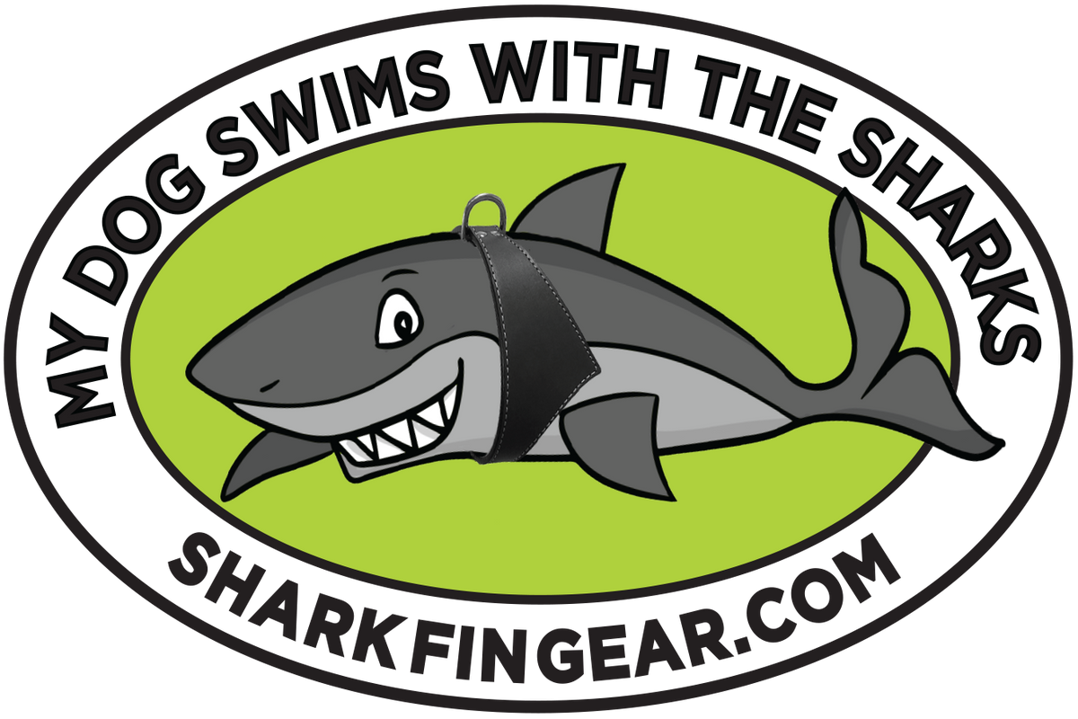 Swim With The Sharks bumper sticker – Shark Fin Gear Company