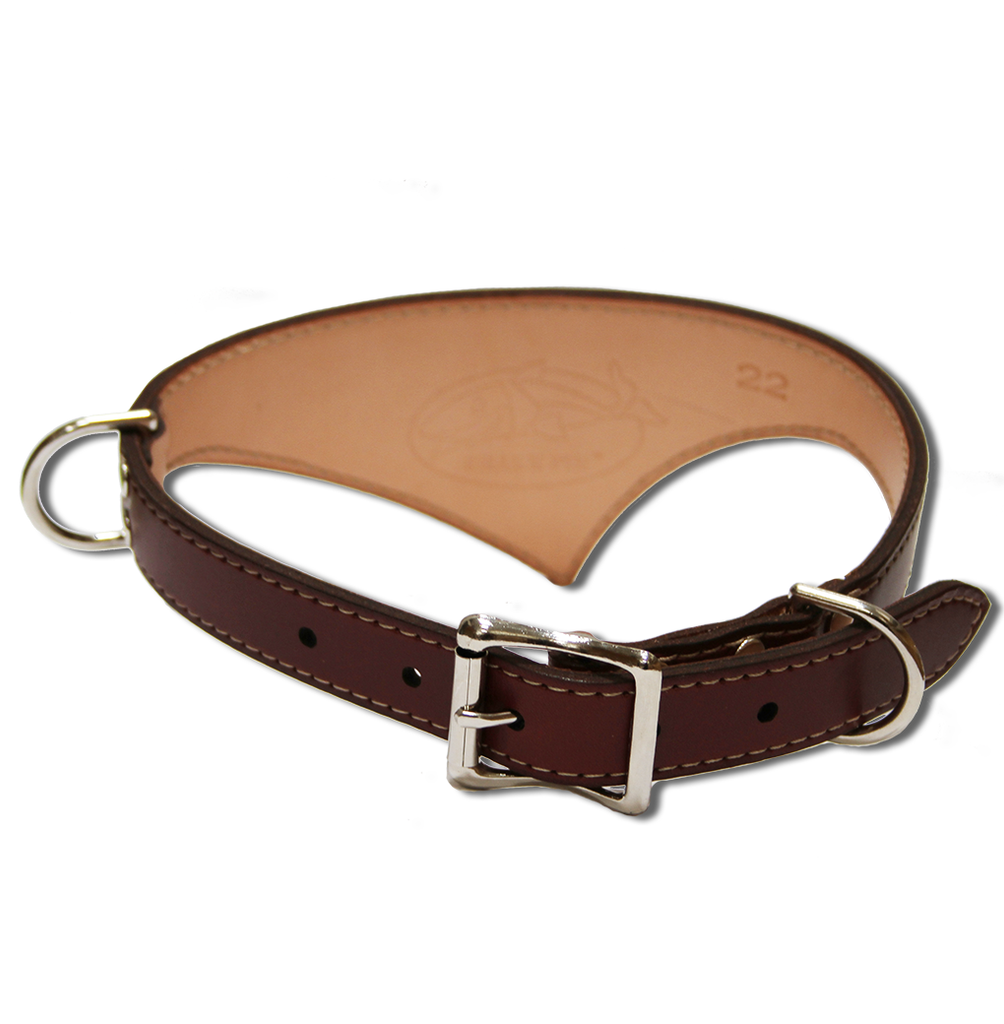 Shark Fin® Trail Classic Collar – Shark Fin Gear Company