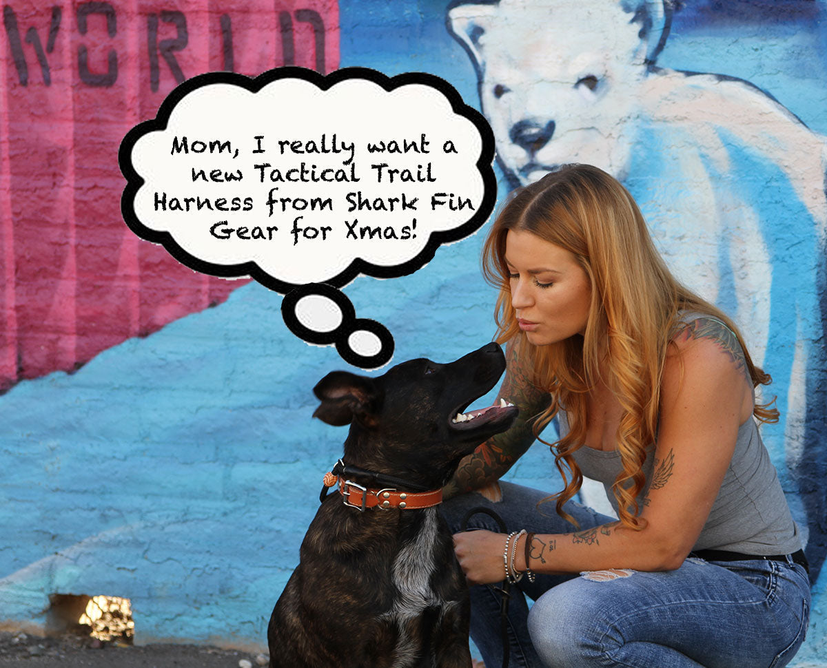 Gift Cards – Shark Fin Gear Company