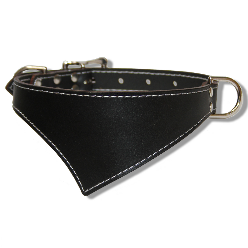 SHARK FIN COLLARS – Shark Fin Gear Company