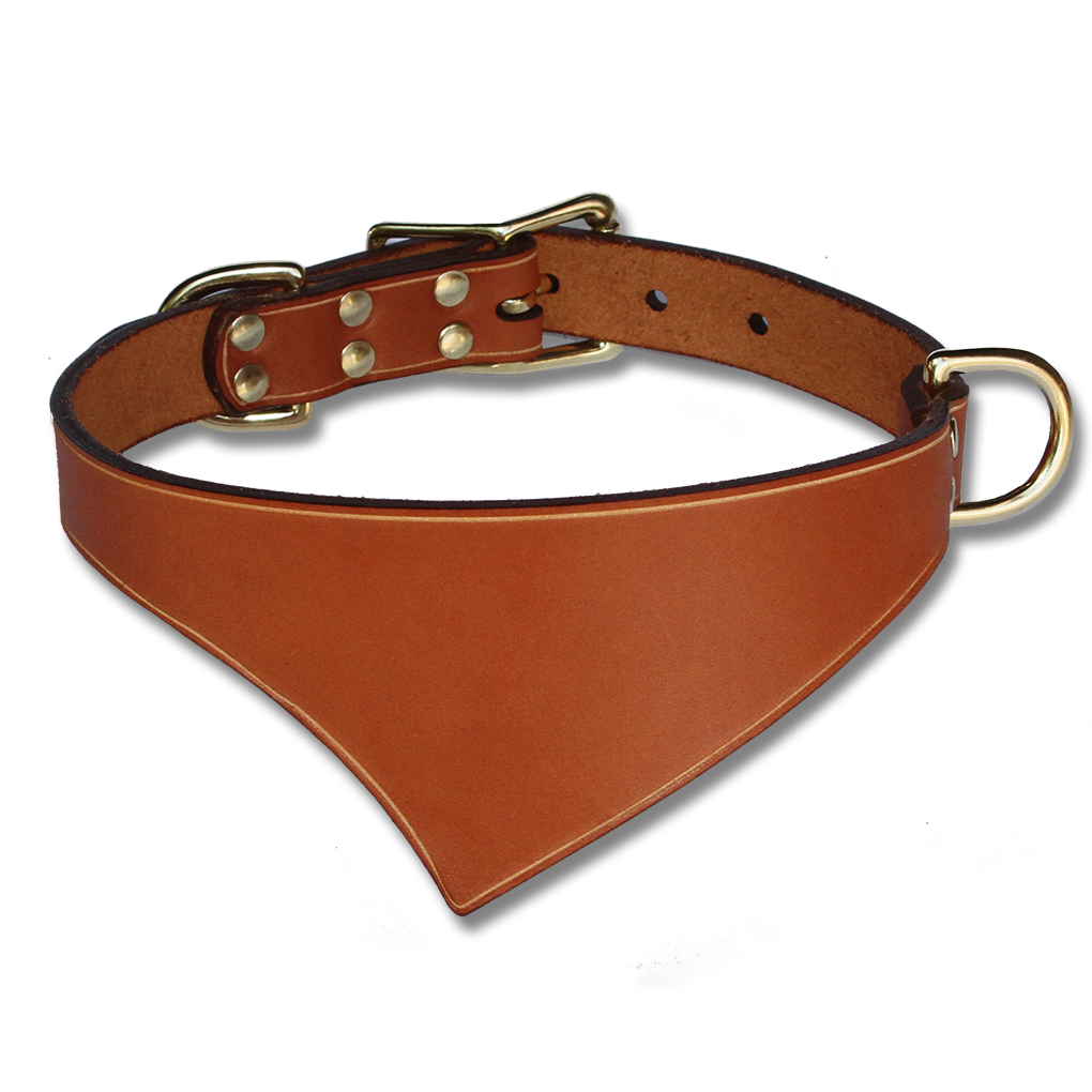 Shark Fin® Urban West Coast Collar – Shark Fin Gear Company