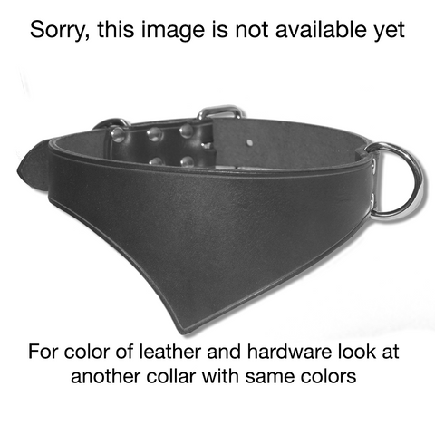 SHARK FIN COLLARS – Shark Fin Gear Company
